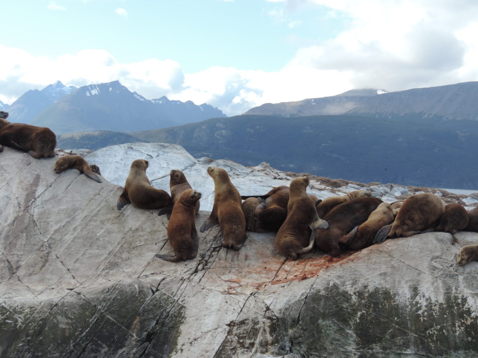 Tour Patagonia Soñada en Bus – Aimel Turismo